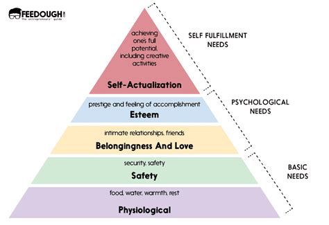 What Is Consumer Behaviour Detailed Guide Feedough