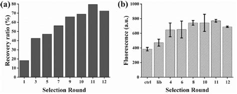 Enrichment Process A Recovery Ratio Of The Enriched Ssdna Pool B