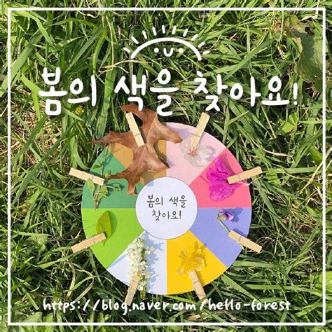 헬로숲 봄의 색을 찾아요 자연물 파레트 봄색깔놀이 봄꽃놀이 자연물놀이 네이버 블로그