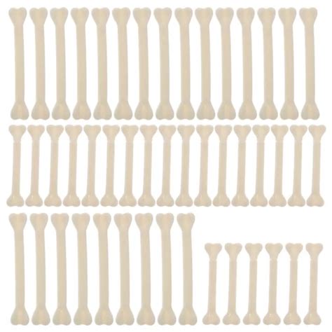 PCS BLANCHE Plastique Os D halloween Squelette Humain Décor De Dinosaure EUR PicClick FR