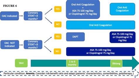 Optimal Antithrombotic Regimen Post Tavi Procedure Oac Oral Download Scientific Diagram