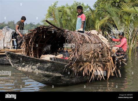 Sundarban Fish Hi Res Stock Photography And Images Alamy