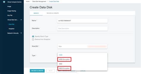 Data Disk Encryption Tws