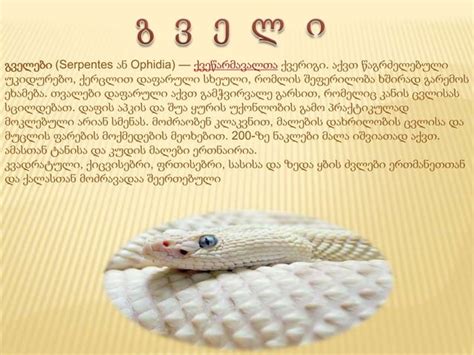 უდაბნო Ppt