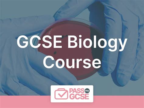 Gcse Maths Course Pass Gcse