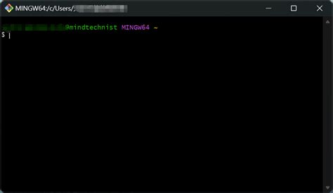 Windows环境安装及配置git并连接gitee远程仓库 Mindtechnist 博客园