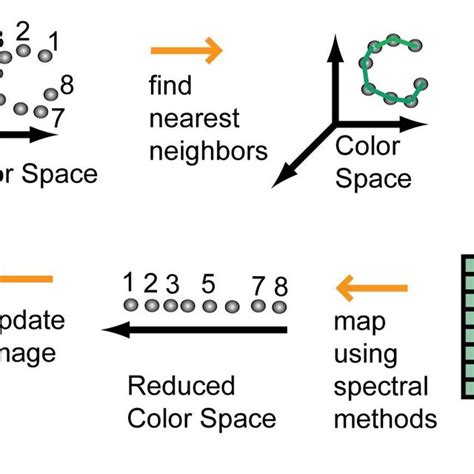 Overview Of Our Algorithm Download Scientific Diagram