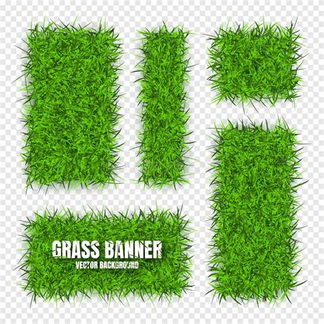 Green Grass Banners Background Field Meadow Texture Grassy