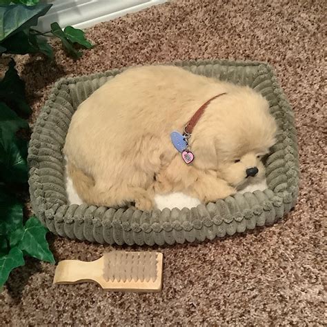 Perfect Petzzz Toys Perfect Petzzz Golden Retriever Sleeping Puppy