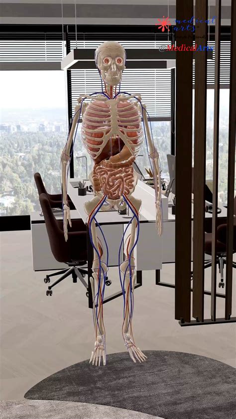 Diverticulitis Diverticulosis Diverticular Disease Refers To Two