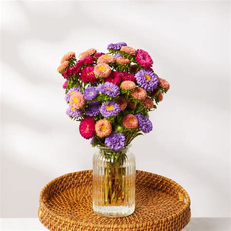 Mixed Asters September Birth Flower Floraly Flowers