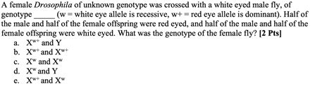 Solved A Female Drosophila Of Unknown Genotype Was Crossed