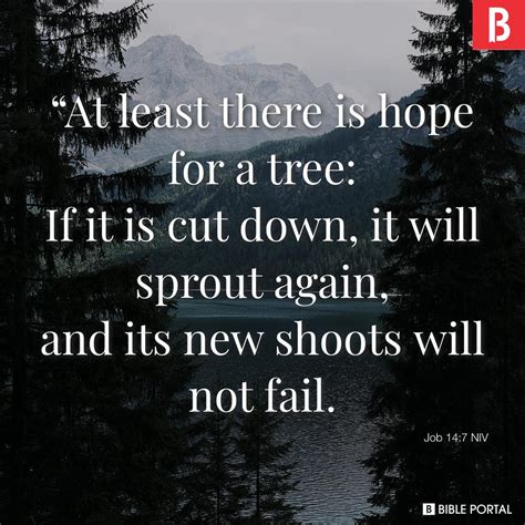 150 Bible Verses About Trees Page 1