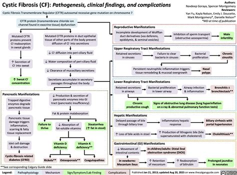 Cystic Fibrosis Pathogenesis Clinical Findings And Complications