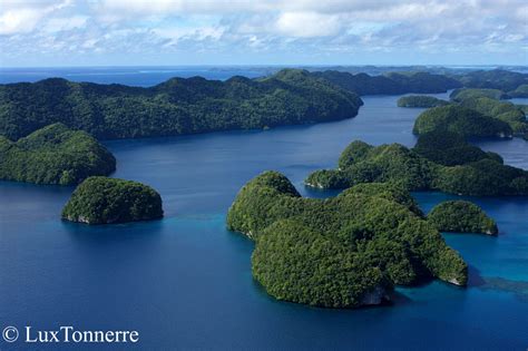5 Reasons Why We LOVE Palau Marine Conservation Institute