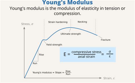 How To Calculate Modulus Of Elasticity From Data Otosection