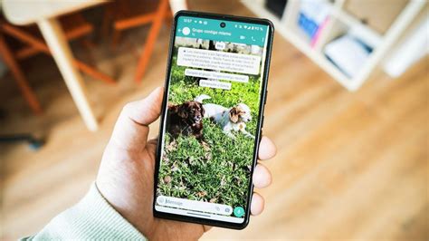 Introducir 80 imagen comment changer le fond d écran sur whatsapp fr