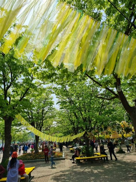 일산호수공원 꽃축제 첫날 후기 2023 고양국제꽃박람회 주차 입장료 할인 체험 공연 카페 네이버 블로그