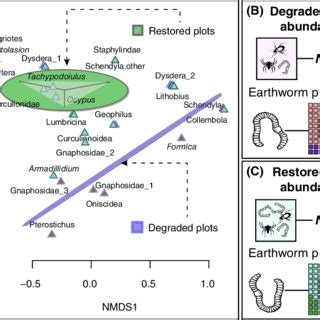 A Nonmetric Multidimensional Scaling Nmds Ordination Plot For
