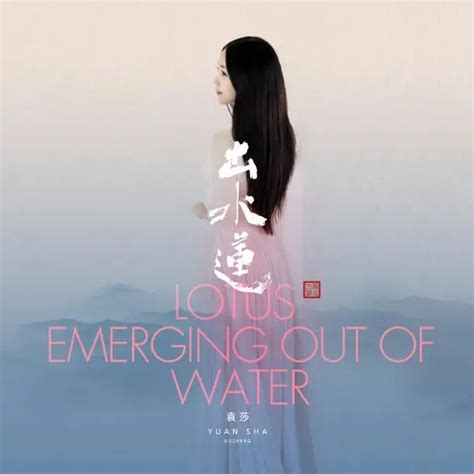 Appreciation Of Yuan Sha S Guzheng Performance In Qing Qu Zgmzyq Cn