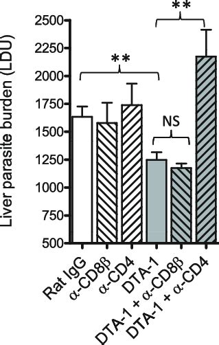 Gitr Stimulation Enhances Immunity Via A Cd4 T Celldependent Cd8 T