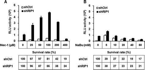 Necrostatin 1 Promotes Baculovirus Transgene Expression In Rip1