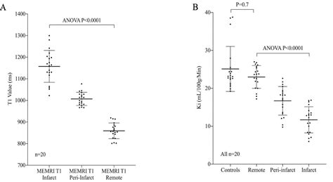 Assessment Of Stunned And Viable Myocardium Using Manganese Enhanced Mri Open Heart