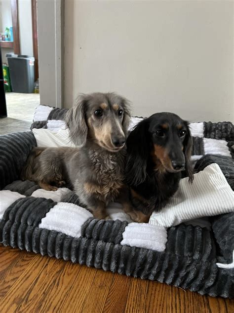 New Couch Vibes 👏🏼