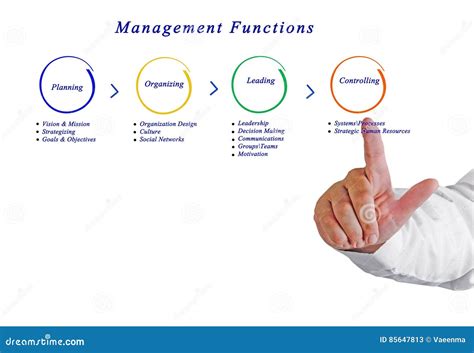 management functions stock image image of human leader 85647813