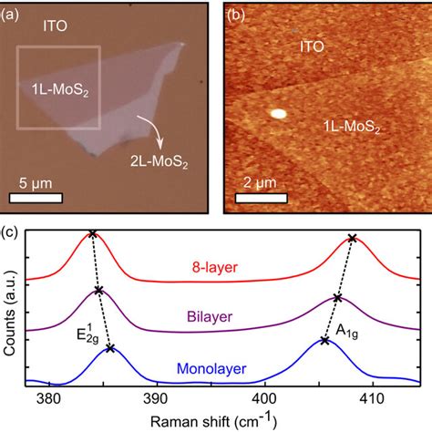 A Optical Image Of A Mos2 Flake With Single Layer And Bilayer