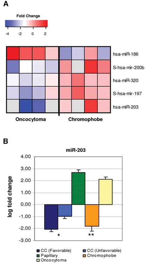 Expression Levels Of Mirnas Discriminating Between Oncocytoma And