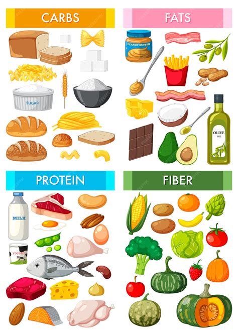 Premium Vector The Four Main Food Groups