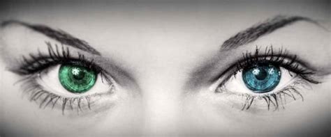 Como hacer crecer las pestañas y cejas de forma natural Blog oficial