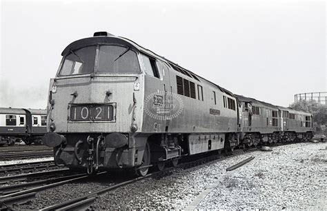 The Transport Library British Rail Diesel Loco Class 52 Western 1021