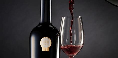 Dos Malbec Argentinos Elegidos Entre Los 50 Mejores Vinos Del Mundo En