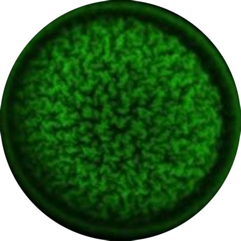Encapsulated Probiotics — Anabio Microencapsulation Of Sensitive