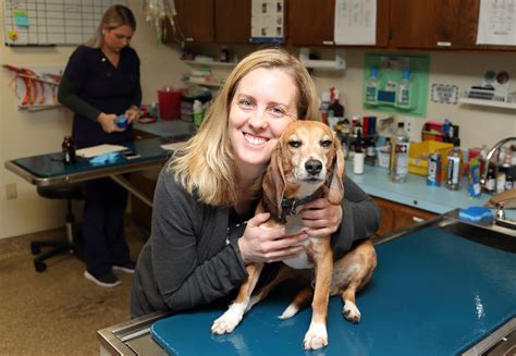 About Our Veterinary Hospital In Walnut Creek