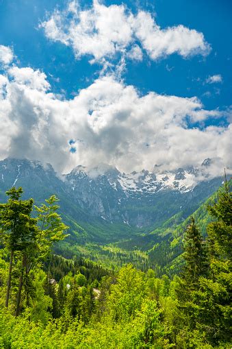 오스트리아와 슬로베니아 국경에 있는 Kamnik Savinja Alps의 Vellacher Kotschna 계곡 0명에 대한 스톡 사진 및 기타 이미지 Istock
