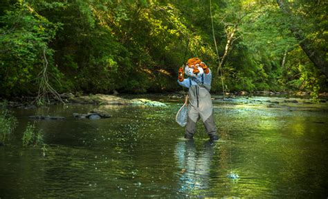 Aubie This Post Is From My 2020 Aubie Calendar Be On