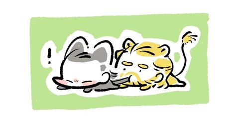 Pin de HoangYen en 3 thỏ loki