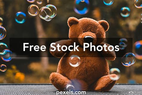 Cute Tadi Bear Photos Download The Best Free Cute Tadi Bear Stock