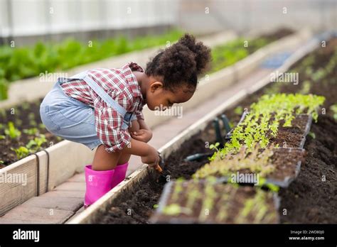 Niño negro africano jugando a plantar la jardinería de árboles verdes
