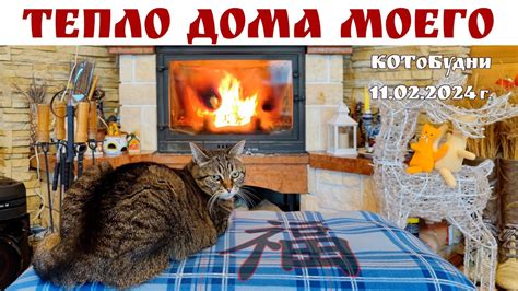 Когда на улице мороз под 20 и ветер свищет или КОТоБудни от 11