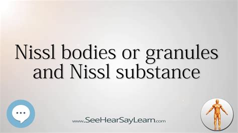 Nissl Granules