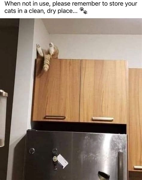 Greg Forquer On Linkedin Yes Very Important Advice…