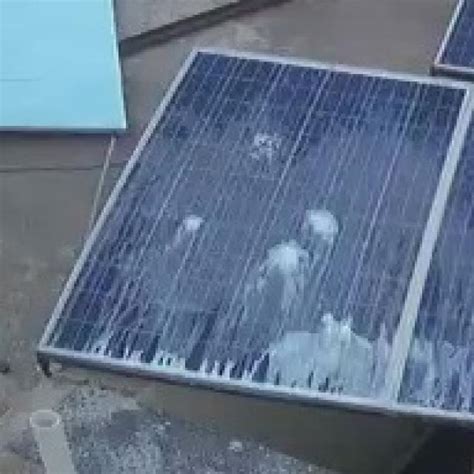 solar panel detection object detection dataset v3 2024 06 03 9 31am
