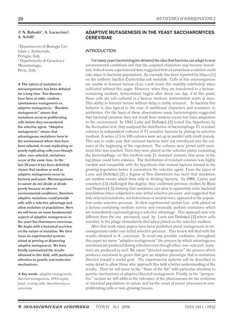 Pdf Adaptive Mutagenesis In The Yeast Saccharomyces Cerevisiae
