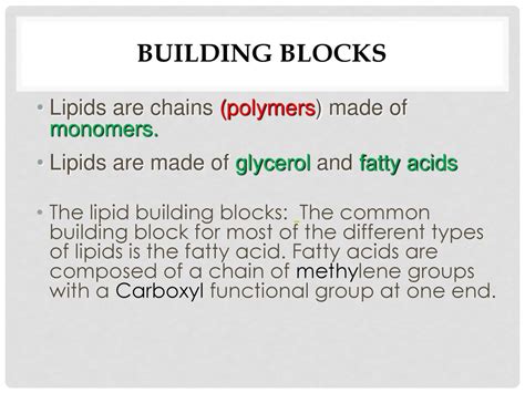 Glycerol And Fatty Acids Are The Building Blocks Monomers Of At Bonnie Zamora Blog