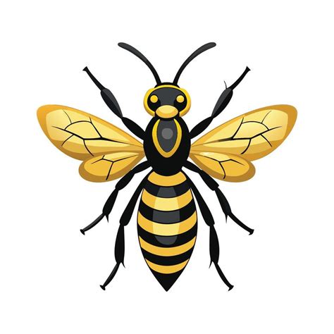 Stylized Wasp For Educational Use Illustration 58980944 Vector Art At