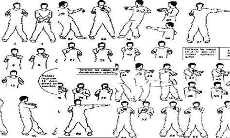 Wing Chun Techniques Pdf Download